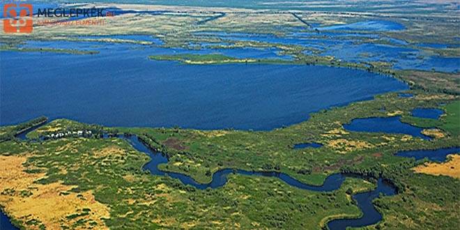 Duna-delta Horgászat 1 főre 1 hét - Meglepkék